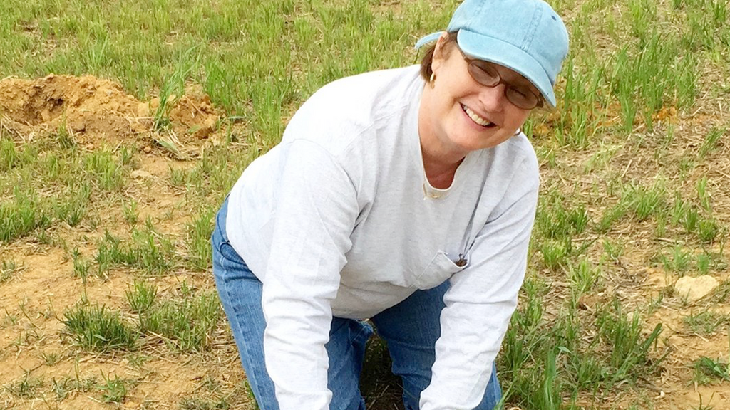 Starting our fourth leaf... – Bozzo Family Vineyards