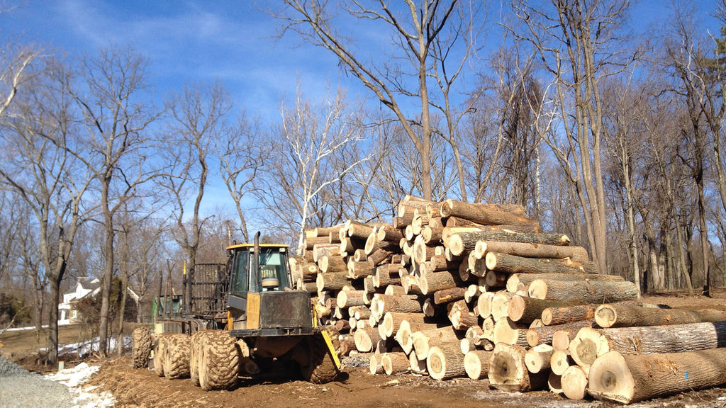 Timber Harvest – Bozzo Family Vineyards